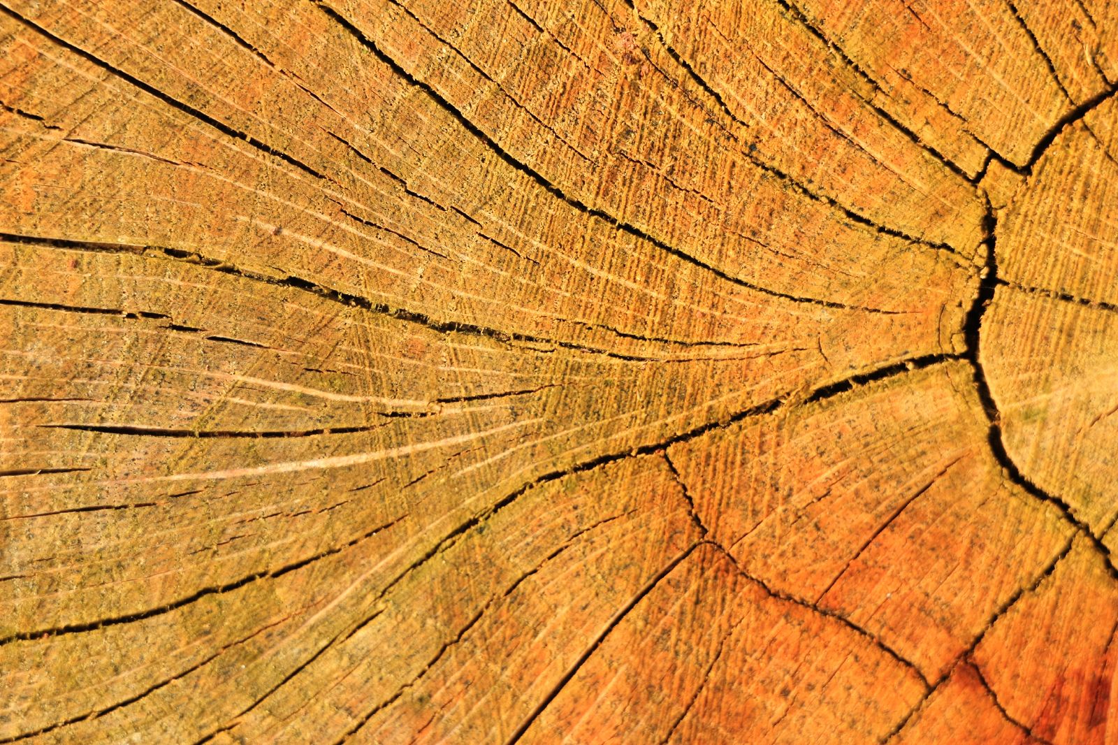 3. cLab "Planen und Bauen im Bestand" - Klimaforum Bau